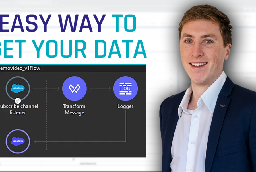 Salesforce Sales Cloud Standard Data Model: The Fundamentals
